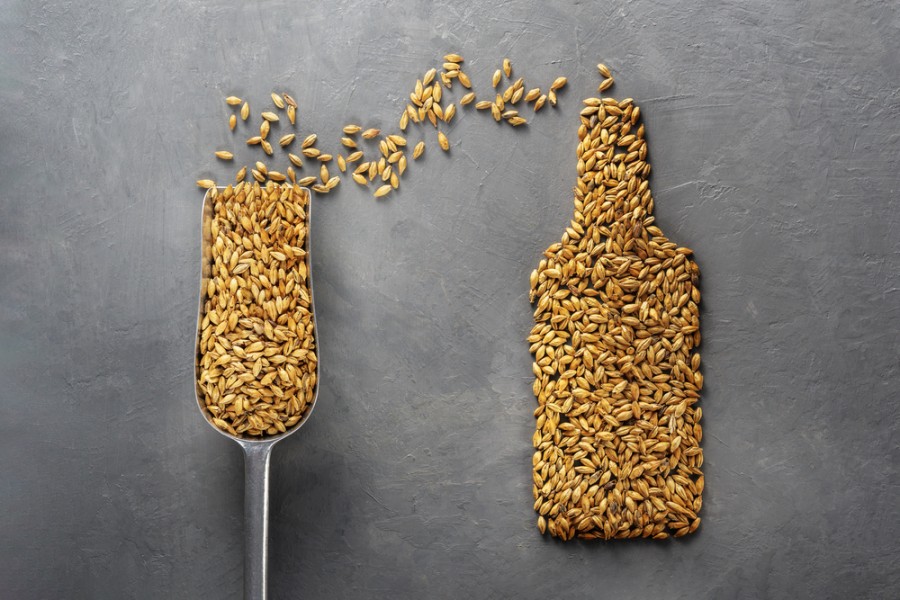 Comment le malt d'orge est-il utilisé dans la production de bière ...